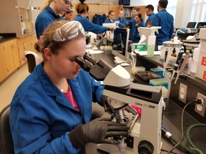 How an Undergraduate Biology Laboratory Class Benefits from Using JoVE ...